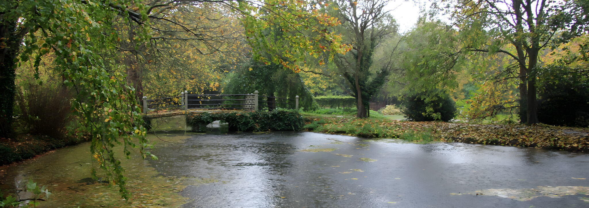 BookStack Release v25.05 · BookStack