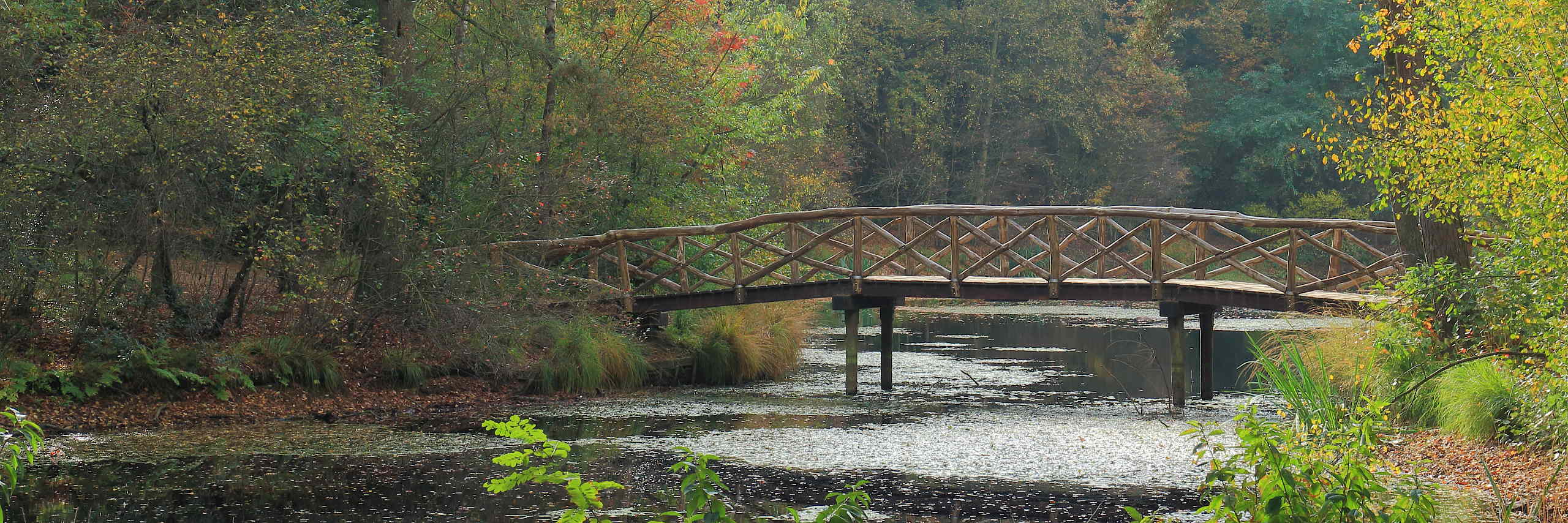 BookStack Project Update for September 2024 · BookStack