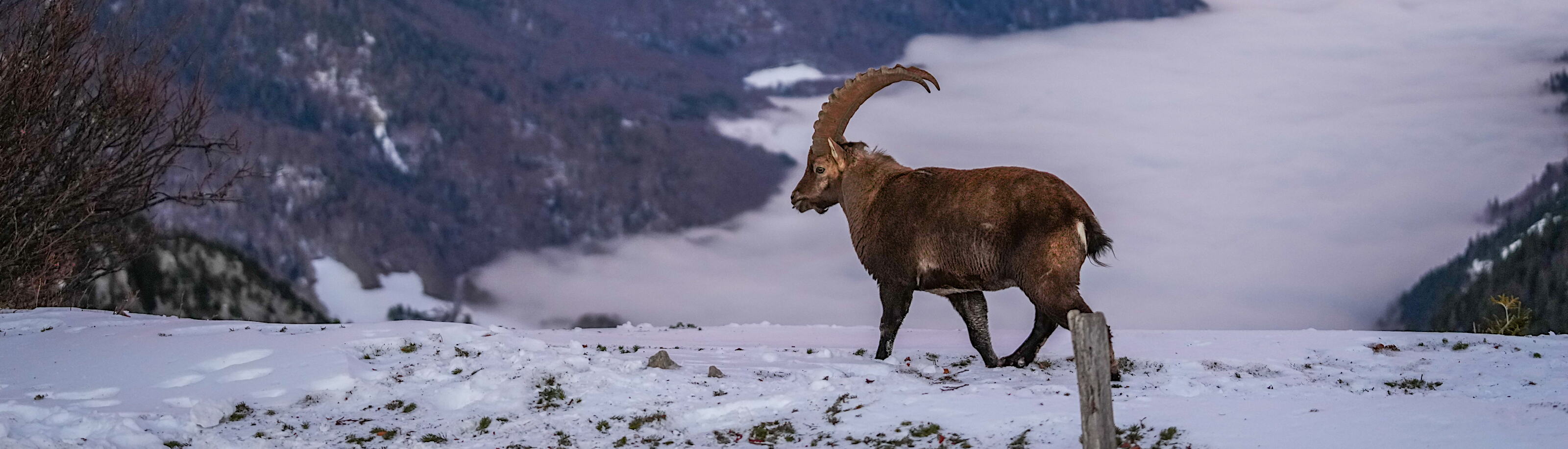 BookStack Release v25.12 · BookStack