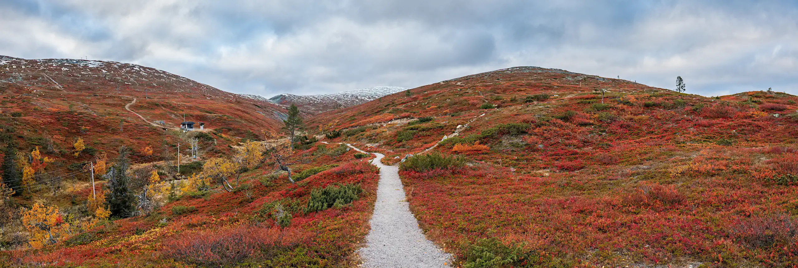 BookStack Release v24.10 · BookStack