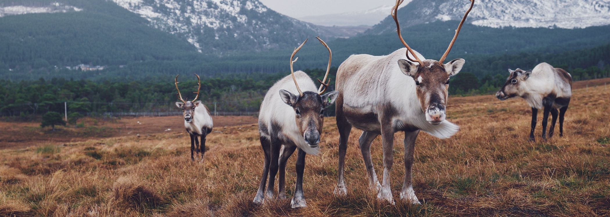 BookStack Release v21.12 · BookStack